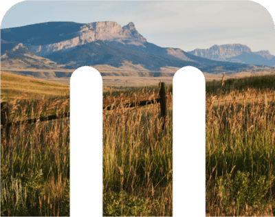 Home | McLees Incorporated